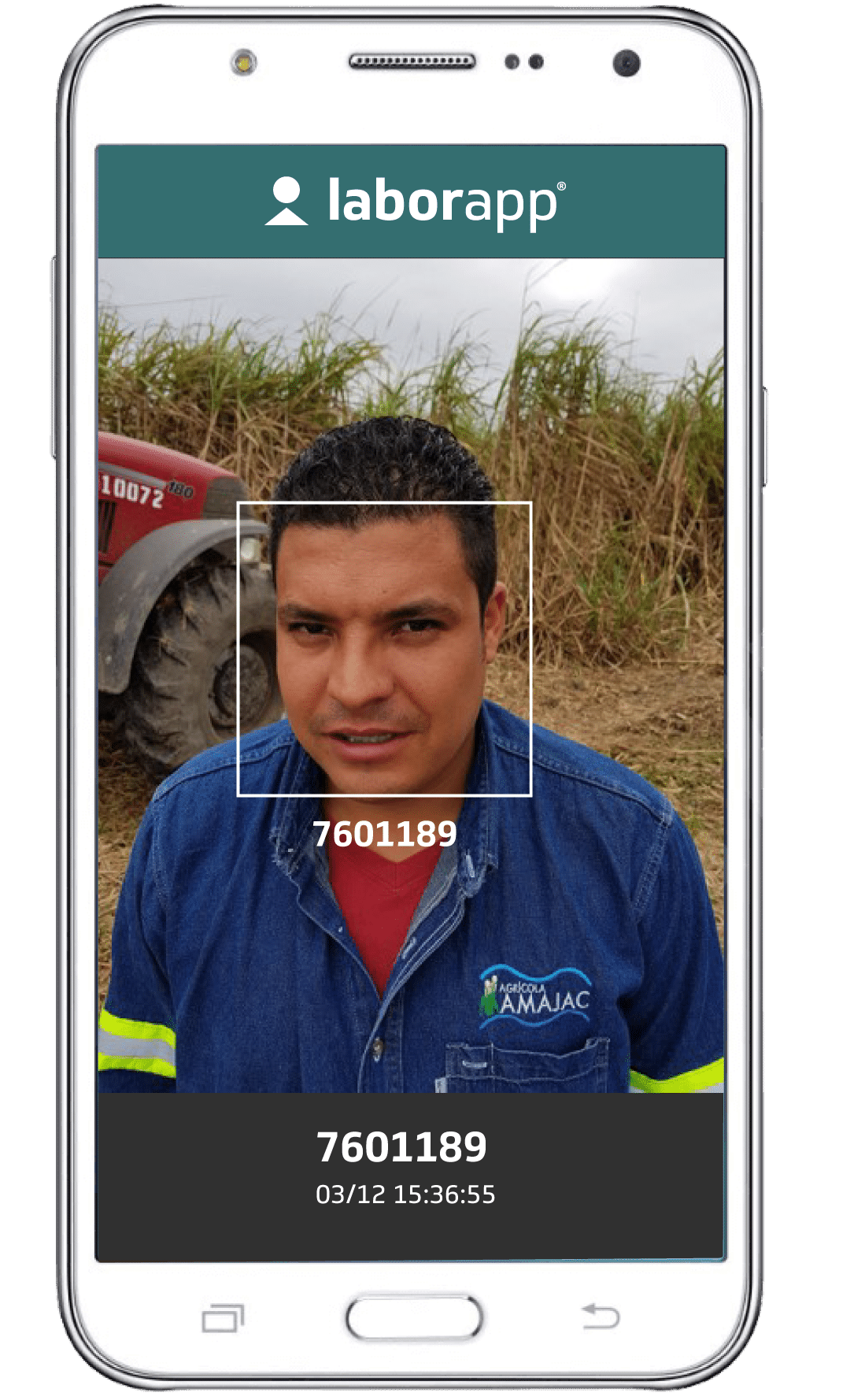 HarvestApp y LaborApp: fusión de agrotecnología para la cosecha de berries